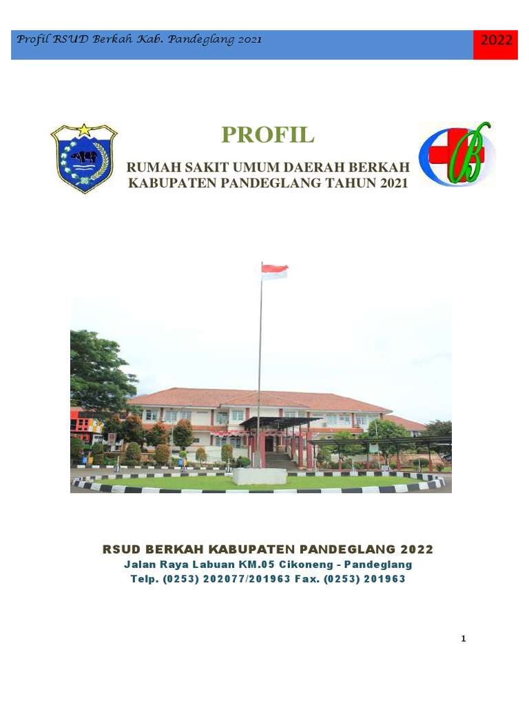 Profil 2021 Rsud | PDF