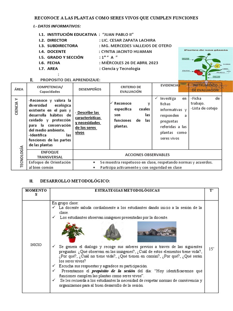 Cyt - Las Plantas Como Seres Vivos Que Cumplen Funciones | PDF | Evaluación | Cognición
