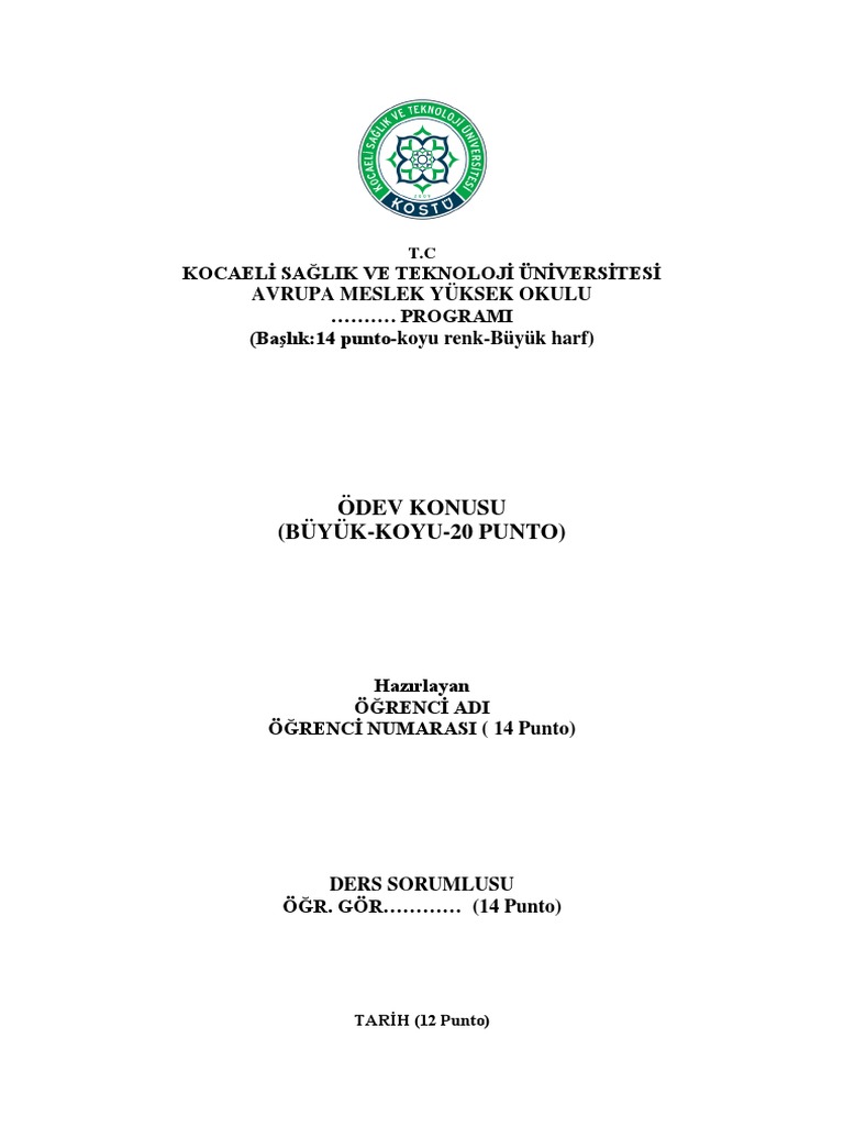 Ornek Odev Kapak Dosyasi | PDF