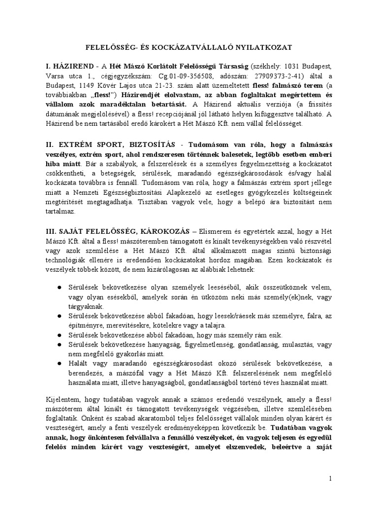 Felelossegvallalo Fless | PDF