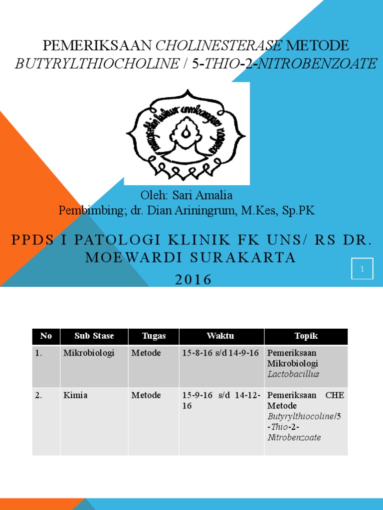 Ppt Presentasi Sari | PDF