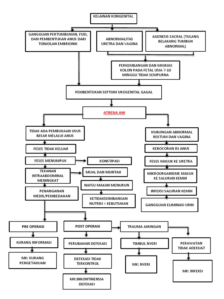 Atresia Ani Pathway | PDF