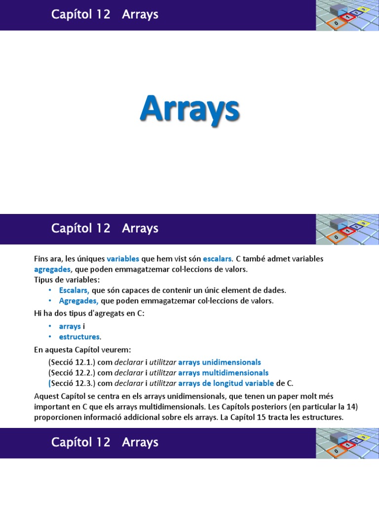 Capitol 12 Arrays | PDF