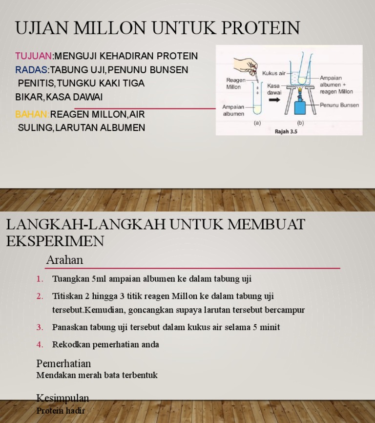 Ujian Millon Untuk Protein | PDF
