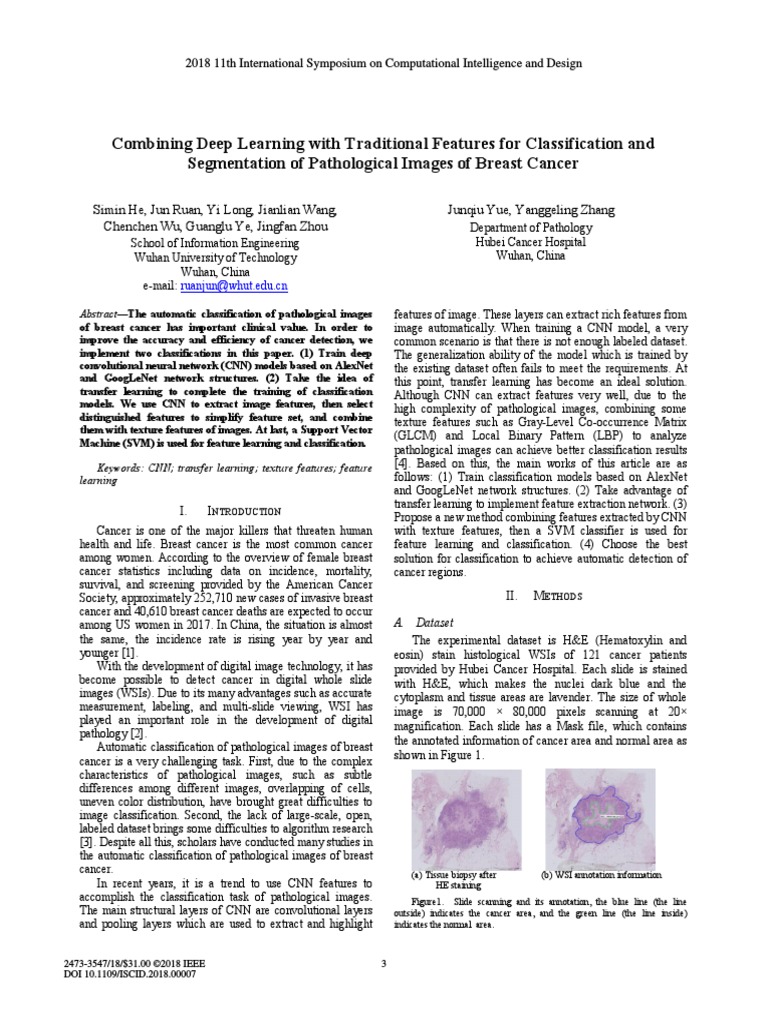 6-Combining Deep Learning With Traditional Features For Classification and Segmentation of ...