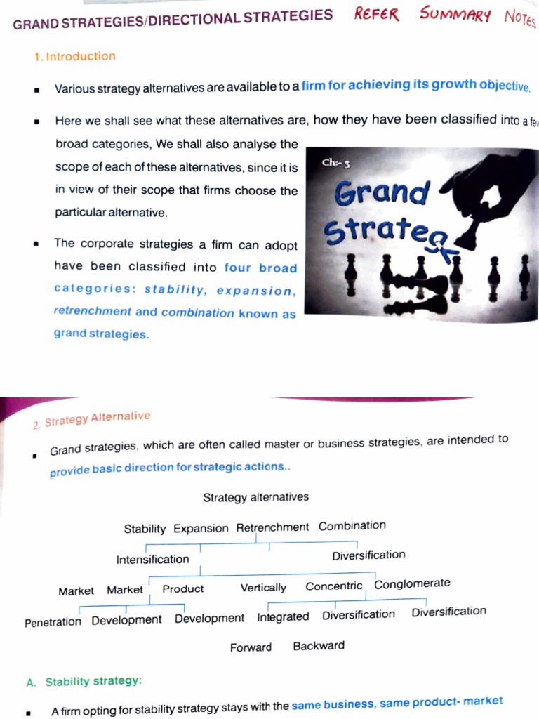 Grand Strategies | PDF | Mergers And Acquisitions | Strategic Management