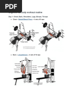 Calisthenics PPL | PDF