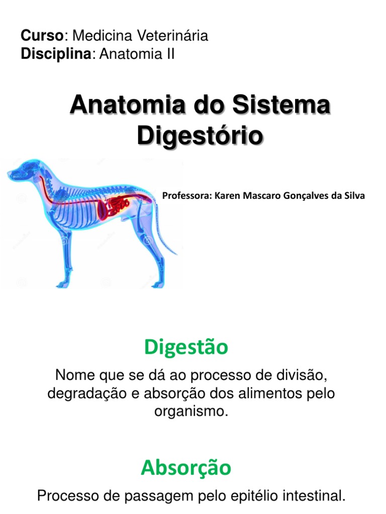 Anatomia Do Sistema Digestório: Curso: Medicina Veterinária Disciplina ...