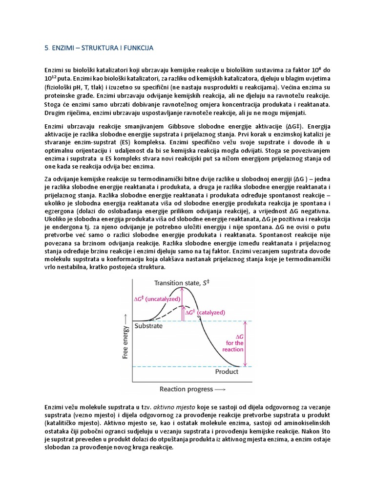 Biokemija 1 - Skripta 2 Dio | PDF