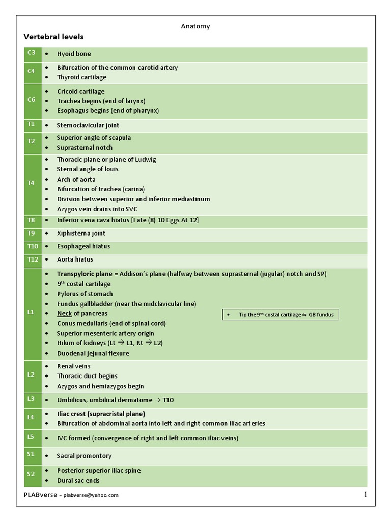 Plabverse All | PDF | Myocardial Infarction | Heart