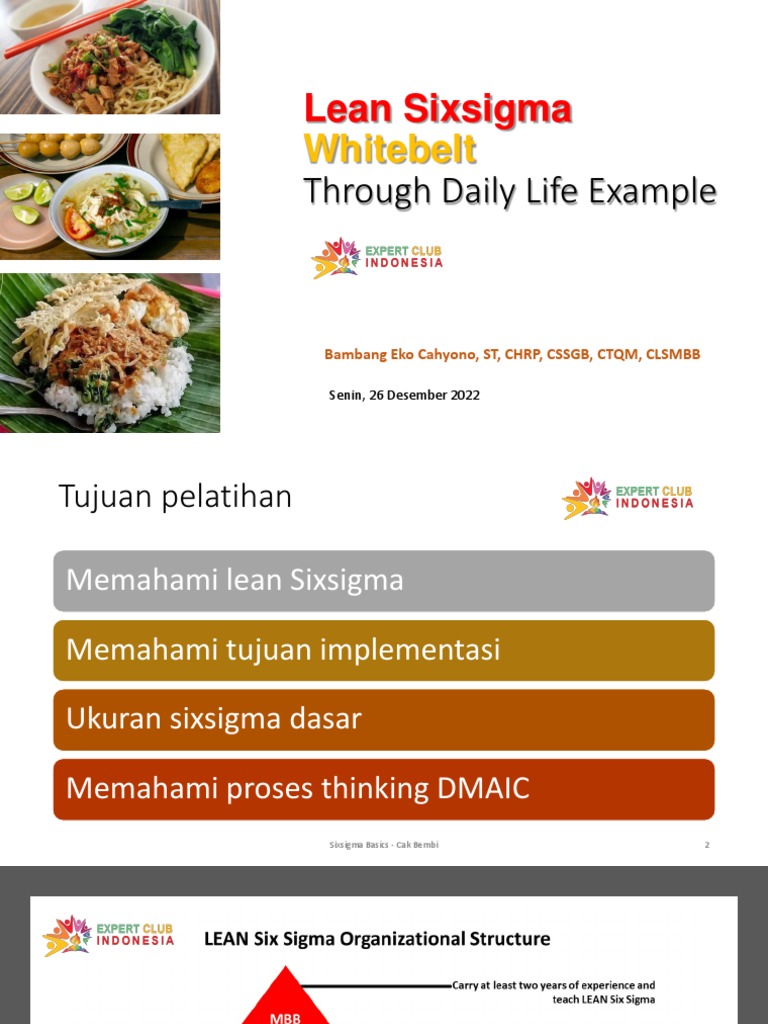 Lean Six Sigma White Belt | PDF