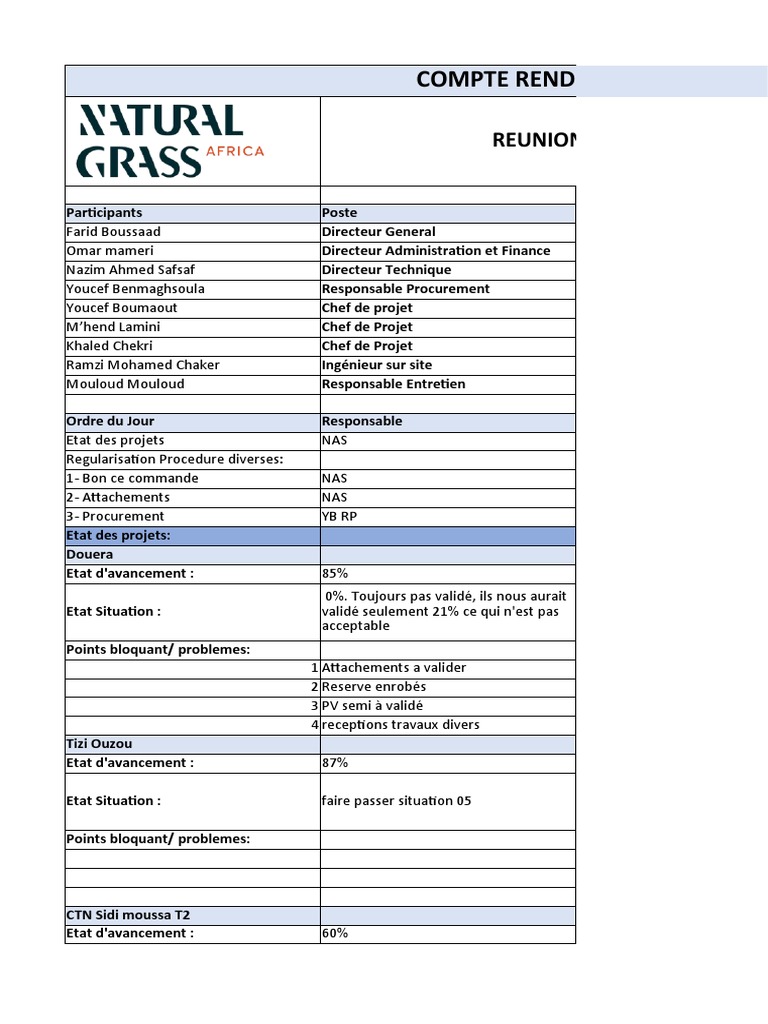 Template CR Reunion Excel | PDF
