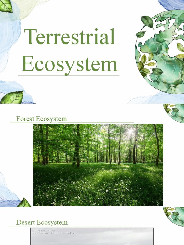 Aquatic and Terrestrial Ecosystem | PDF