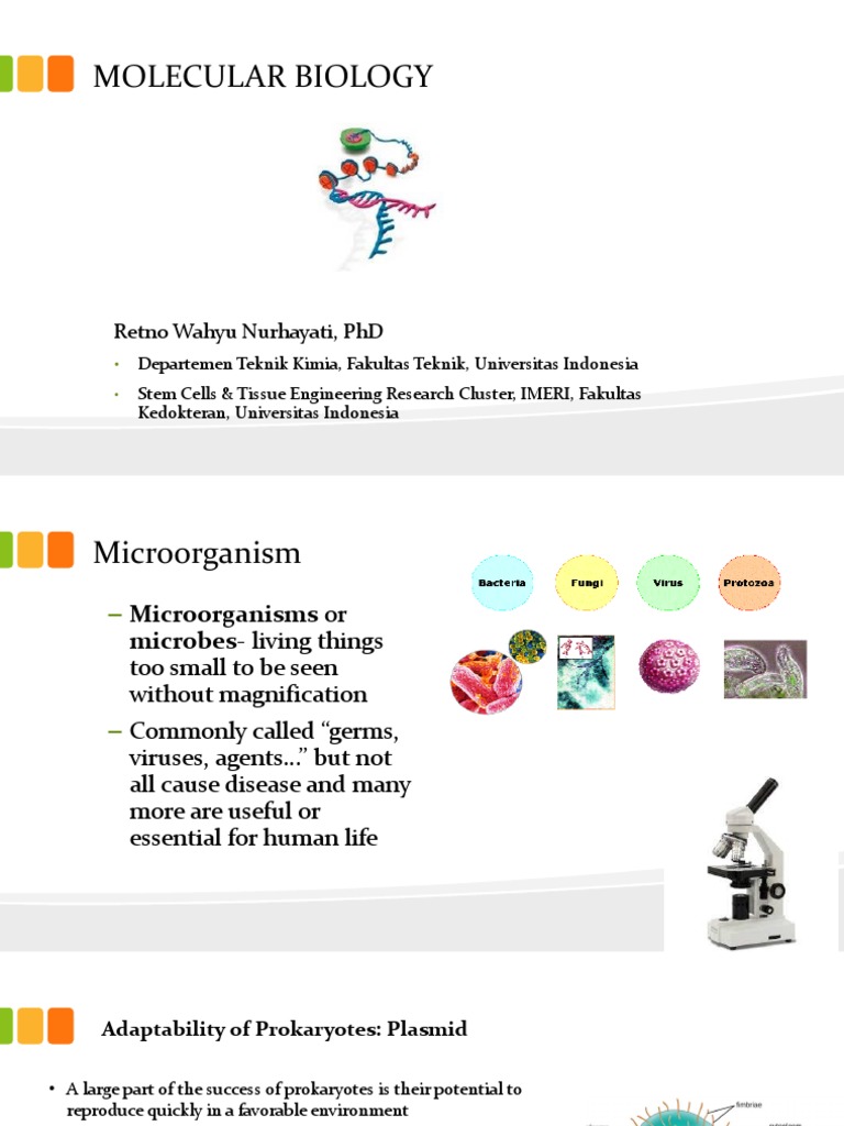 Week 2 - Molecular Biology | PDF | Virus | Dna