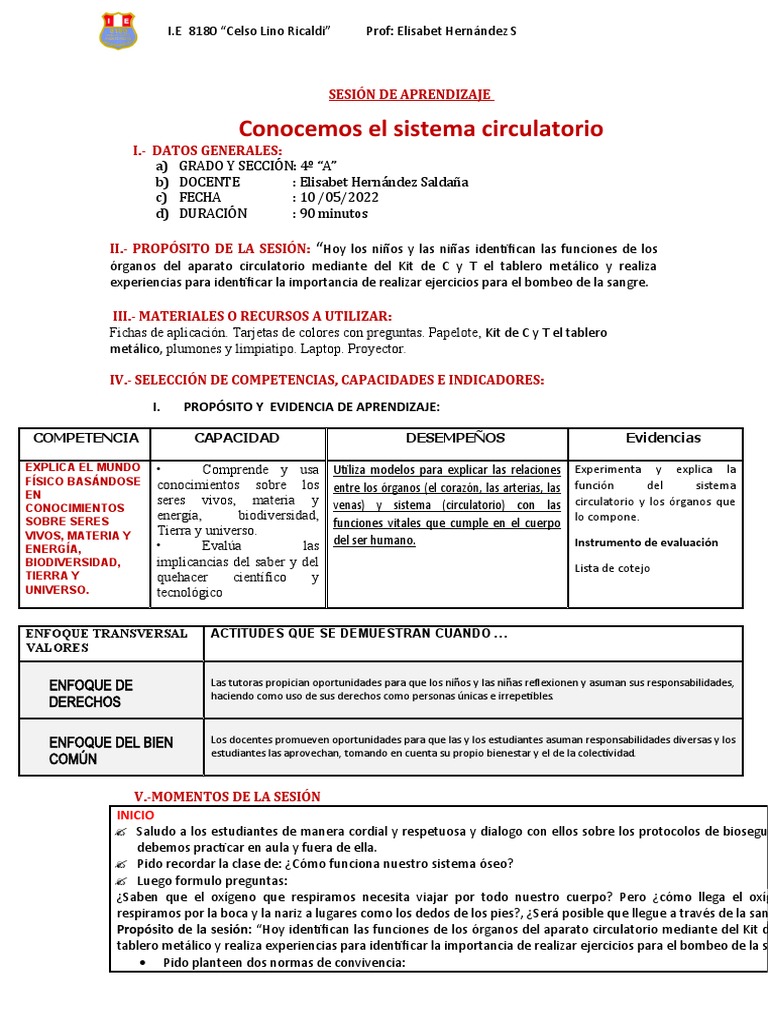 El sistema circulatorio | PDF | Sistema circulatorio | Corazón