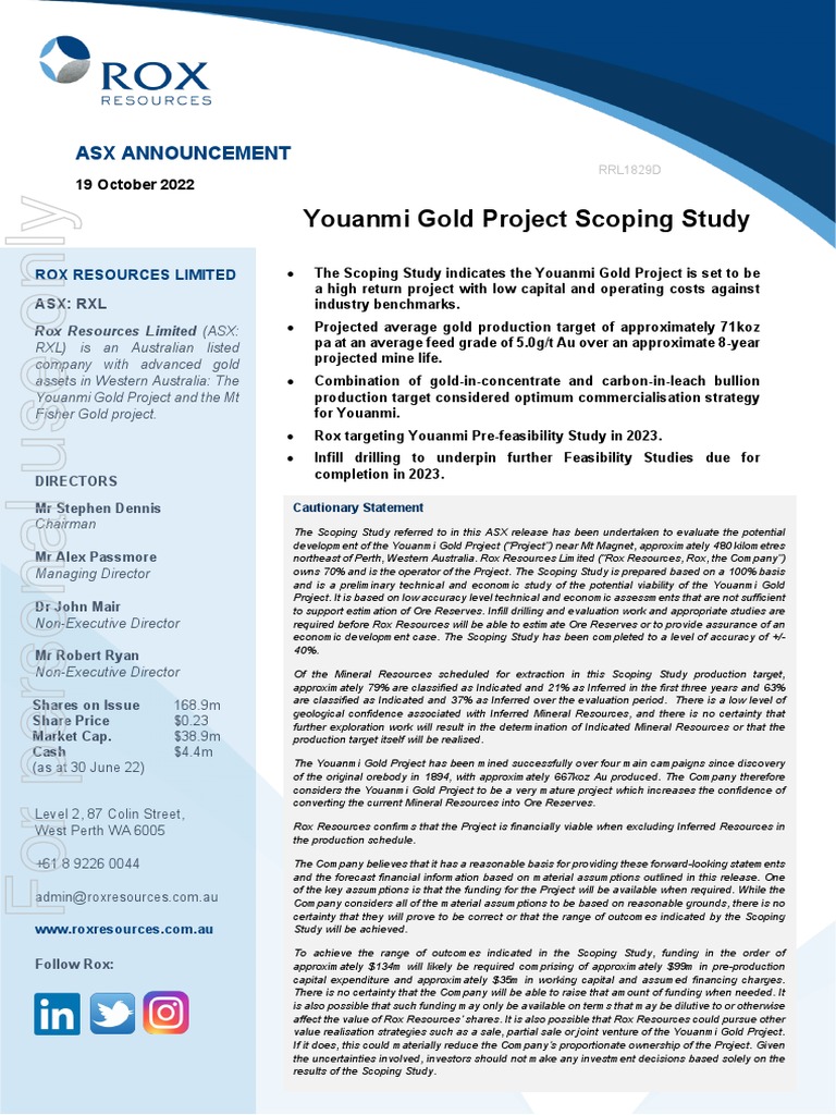 Youanmi Gold Project Scoping Study | PDF | Net Present Value | Mining