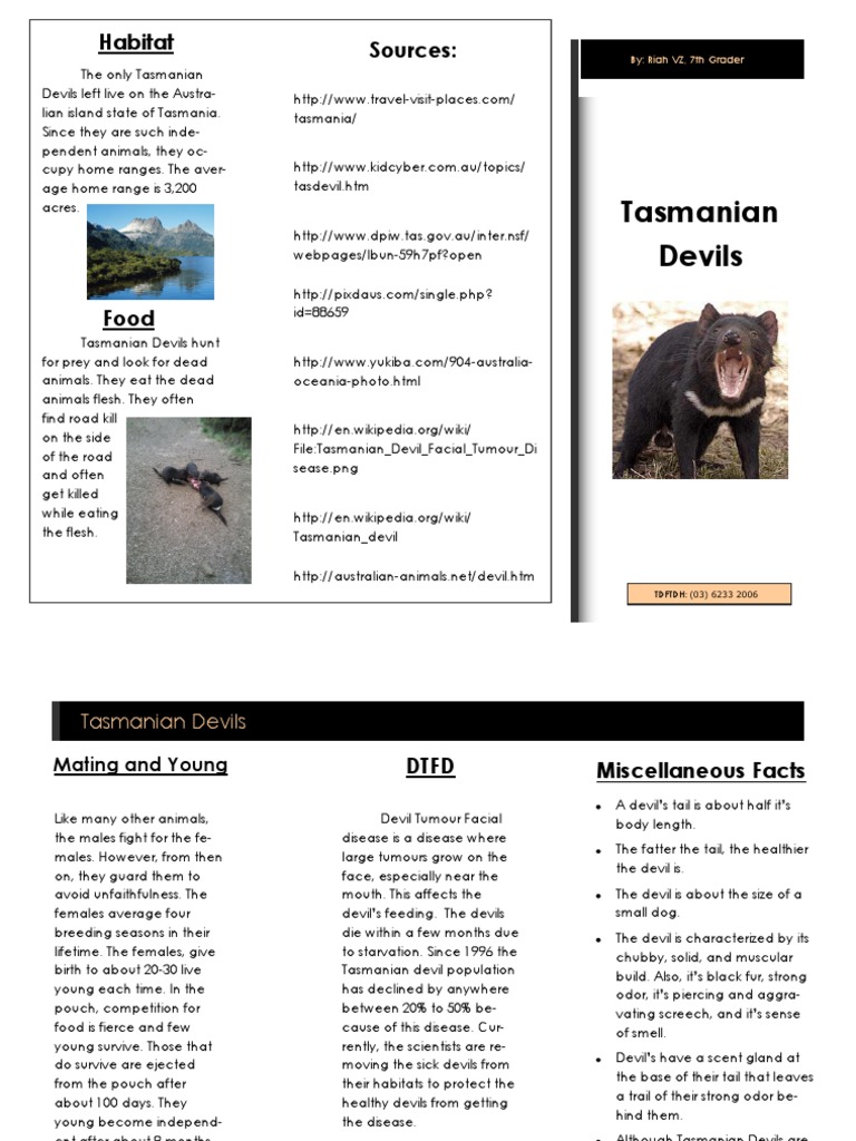 Tazmanian Devils Project2 | PDF | Science & Mathematics