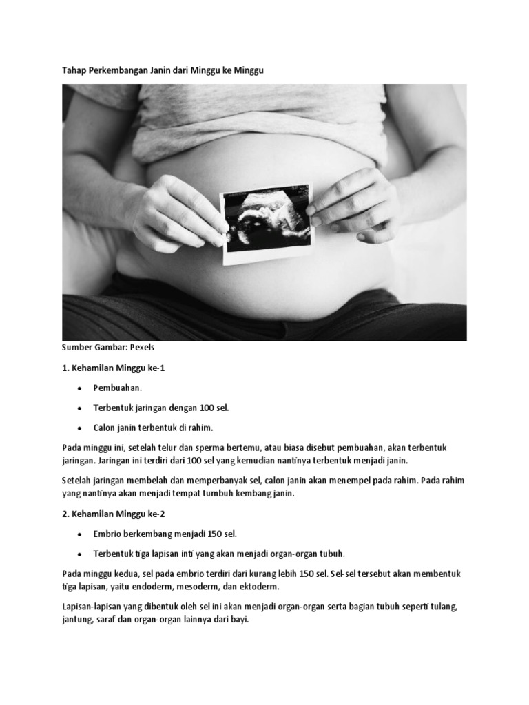 Tahap Perkembangan Janin Dari Minggu Ke Mingg1 | PDF