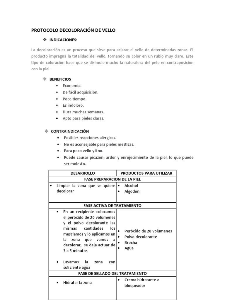 Formato de Protocolo | PDF