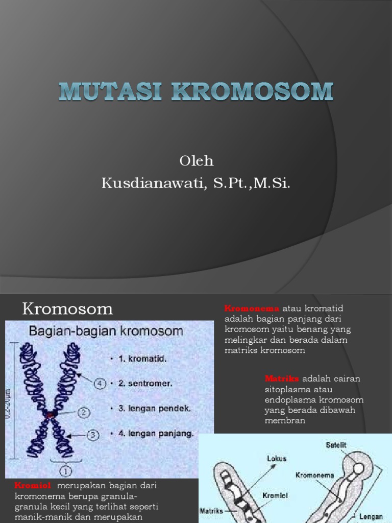 Mutasi Kromosom | PDF