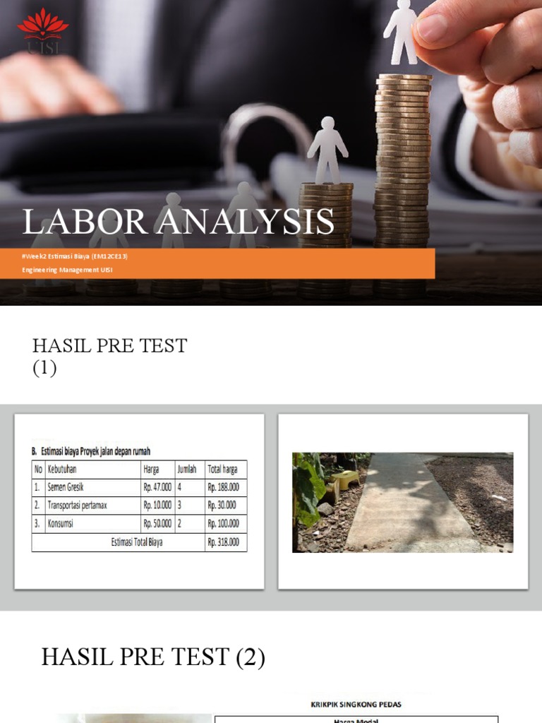 Labour Analysis | PDF | Labour Economics | Employment