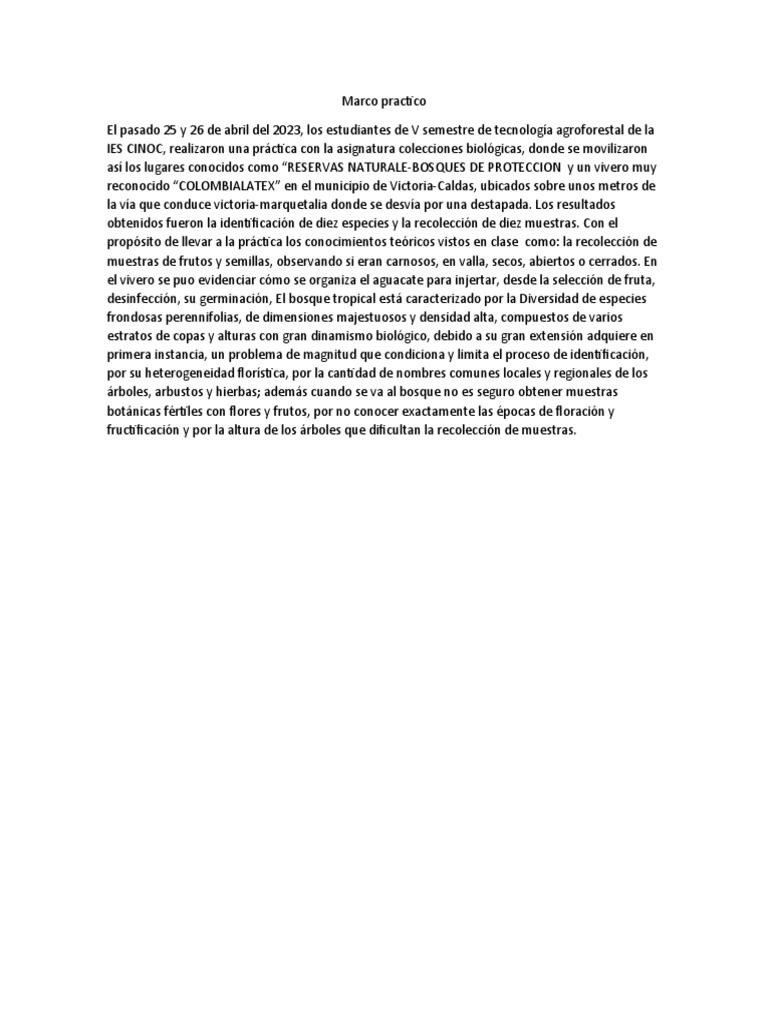 Marco Practico | PDF