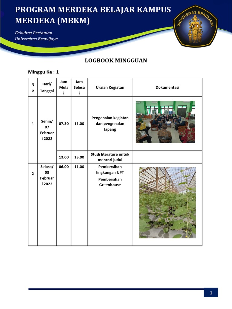 Logbook Mingguan MBKM 2022 Rev | PDF | Sains & Matematika