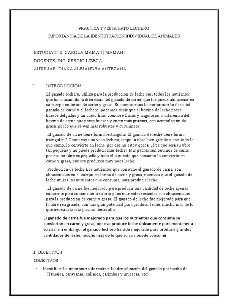 Practica Hato Lechero. Carola Mamani | PDF | Leche | Vacas