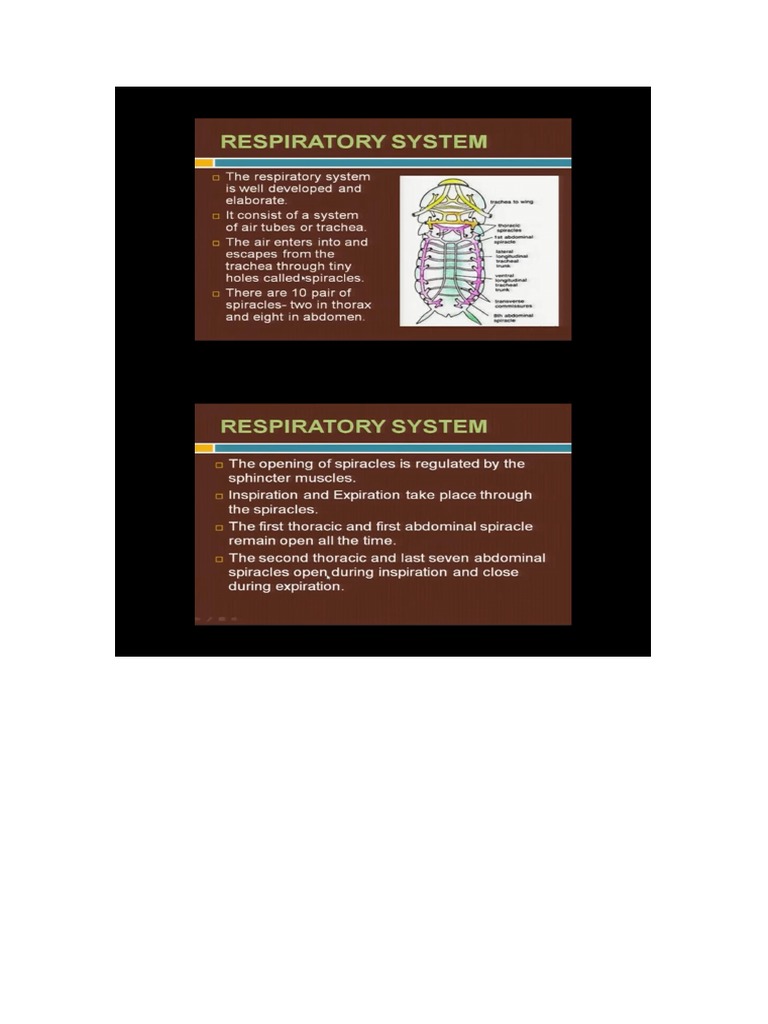 Cockroach Notes | PDF