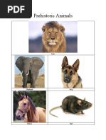 Animals Without Ears | PDF