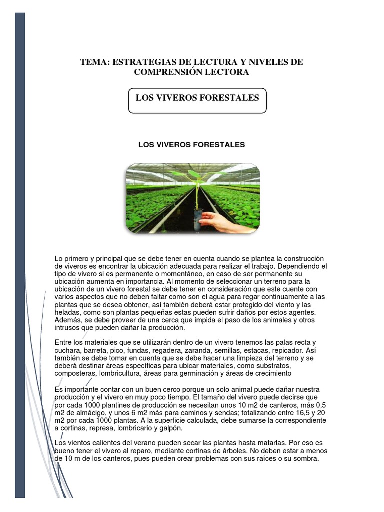 Trabajo Lectura-Texto Técnico | PDF | Siembra | Agua