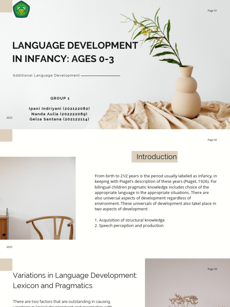 Group 1 - Language Development in Infancy Ages 0-3 | PDF | Language ...