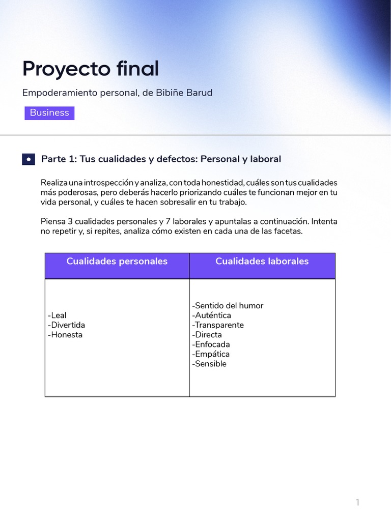 Proyecto Final - Bibiñe Barud | PDF