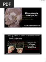 Anatomia da Tuberosidade Massetérica | PDF | Tecido macio | Sistema ...