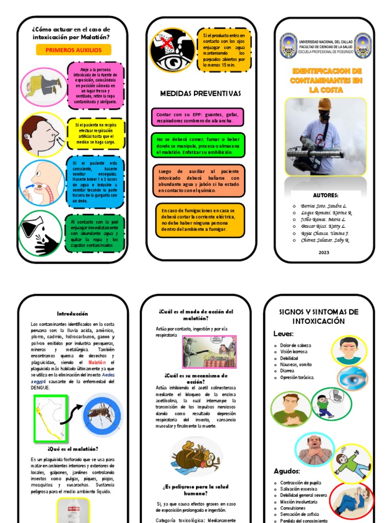 Triptico de Malation | PDF | Medicina CLINICA | Especialidades Medicas
