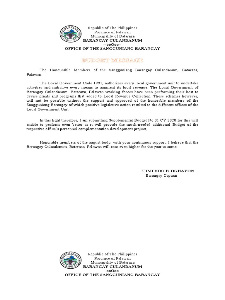 Budget Message Sup | PDF | Local Government | Government