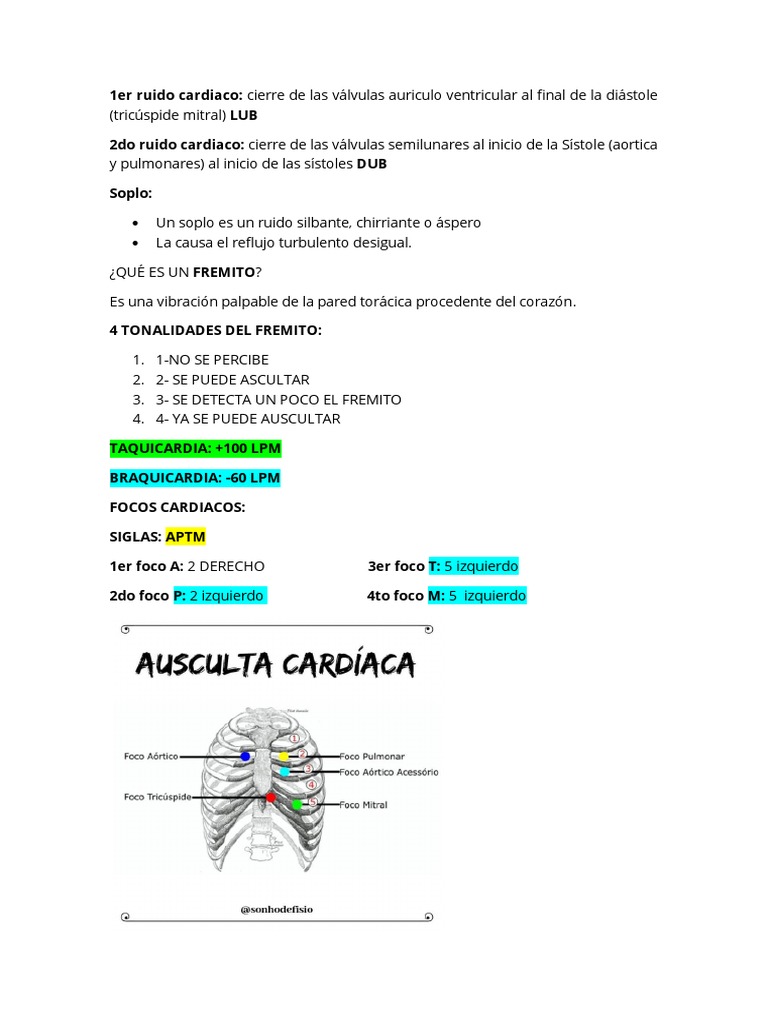 Semiología Cardiovascular | PDF | Arte