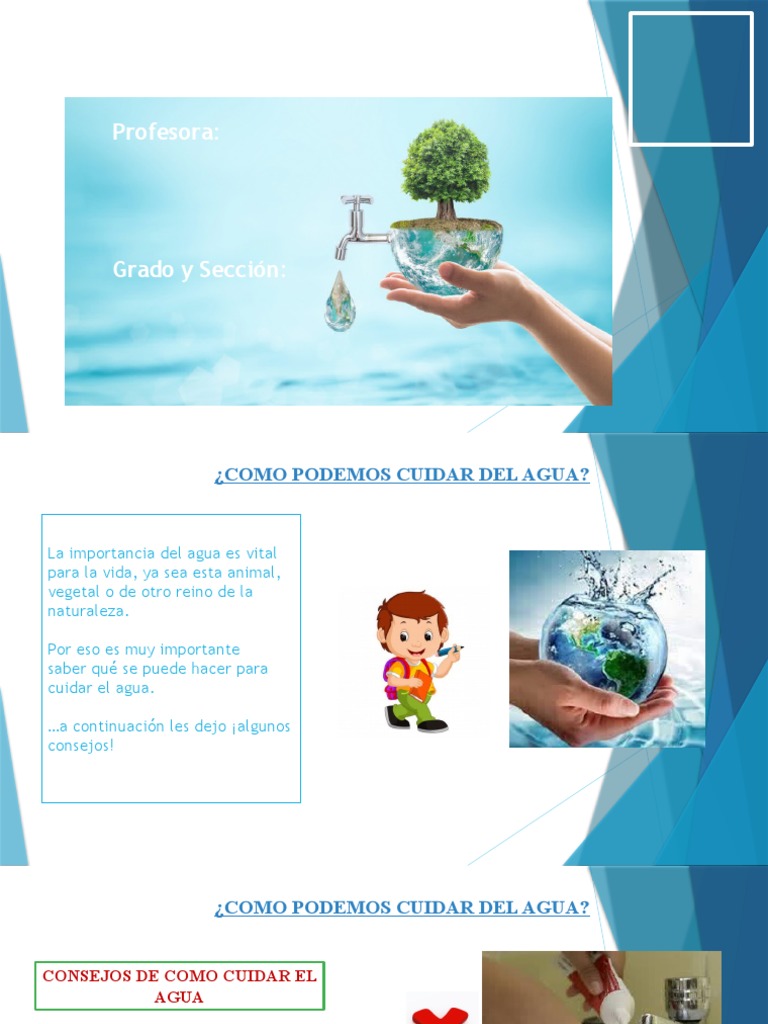 Como Cuidamos El AGUA | PDF