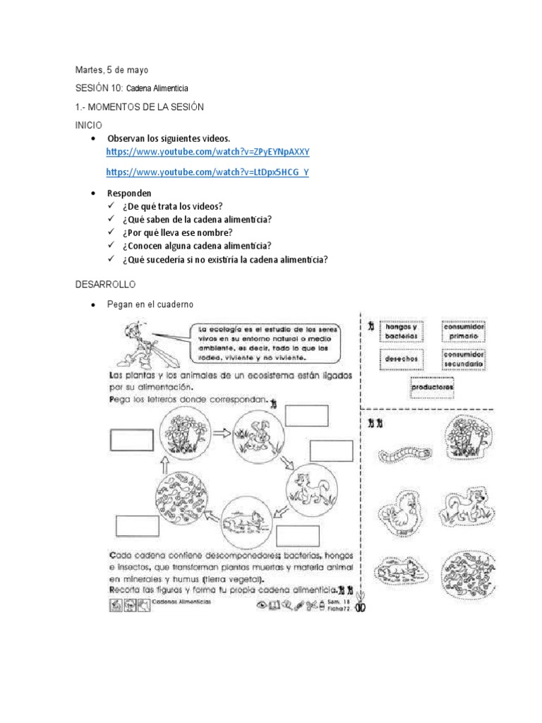 Cadena Alimenticia | PDF