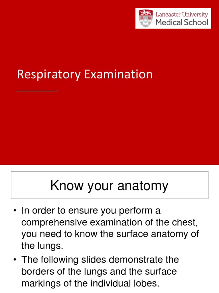 Respiratory Examination (Updated Dec 21. JMS) | PDF | Lung | Thorax