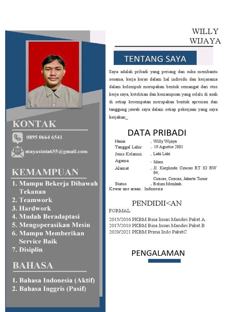 Data Pribadi: Willy Wijaya | PDF