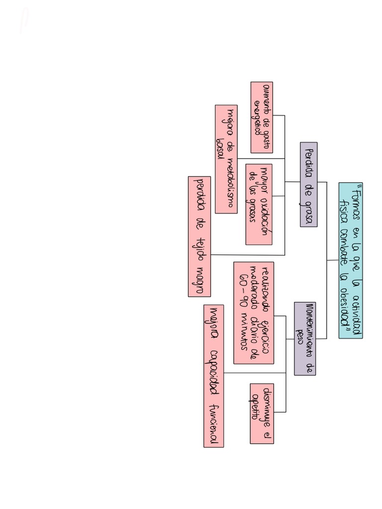 Mapa Conceptual Final 1 - Fernanda Nunez | PDF