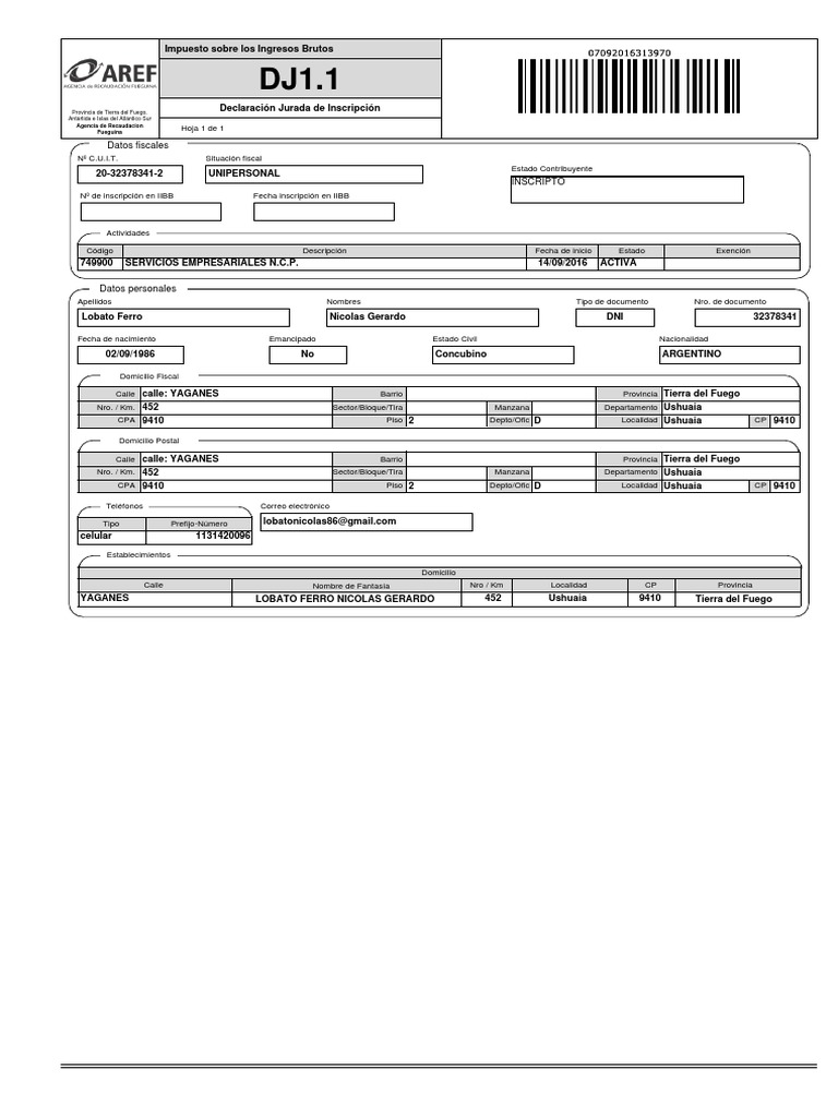 IIBB Nicolas Lobato | PDF