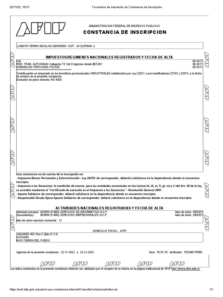 AFIP - Administración Federal de Ingresos Públicos Nicolas Lobato | PDF ...