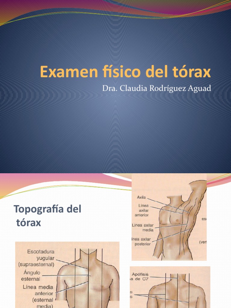 Examen Físico Del Tórax | PDF | Pulmón | Sistema respiratorio