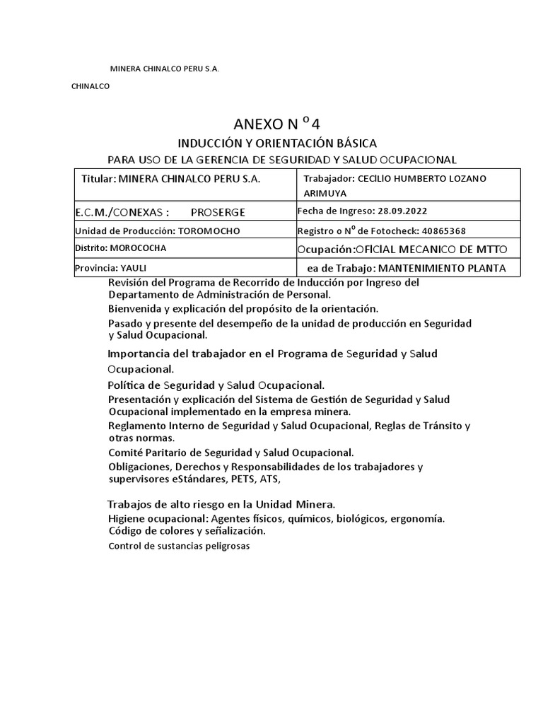 Inducción Seguridad Ocupacional Chinalco | PDF