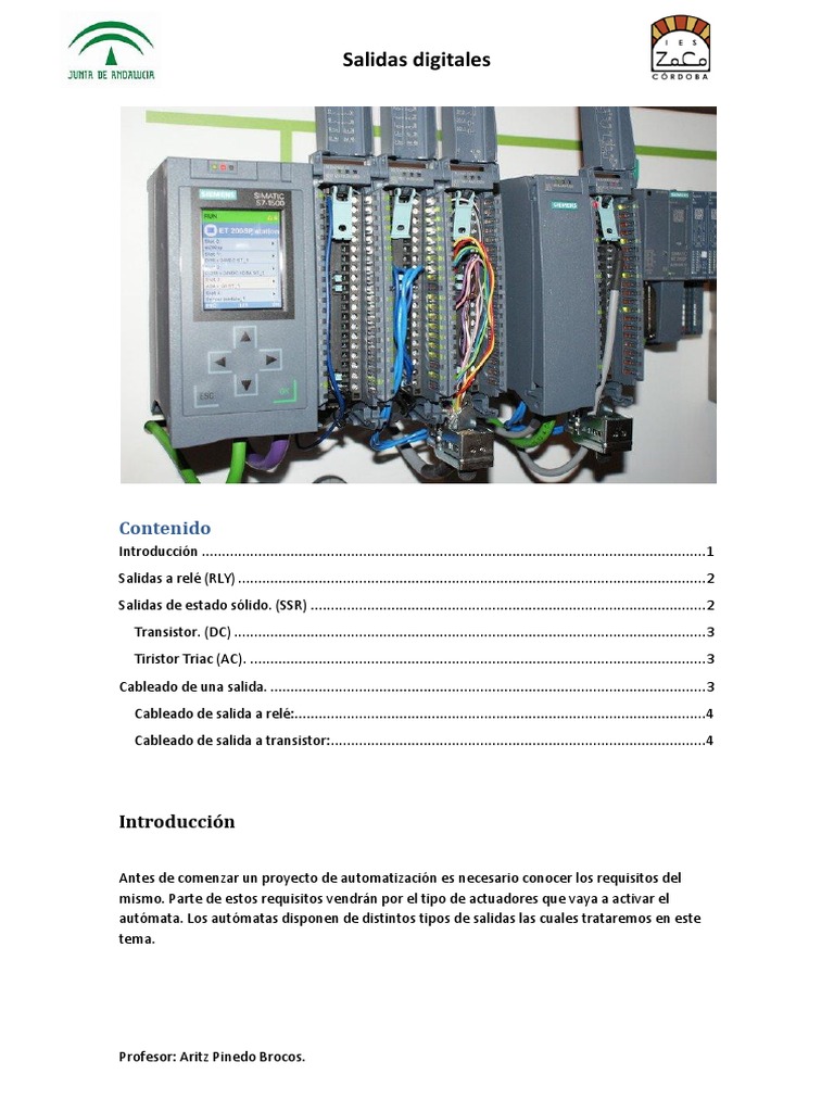 Salidas Digitales | PDF