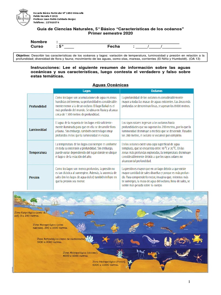 Guía Ciencias 5° 1 Océanos - 230426 - 154727 | PDF | Océanos | Marea