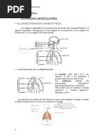 Triangulo Vocálico | PDF | Vocal | Lingüística