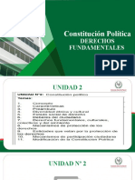 Articulo 23 de La Constitucion Politica | PDF
